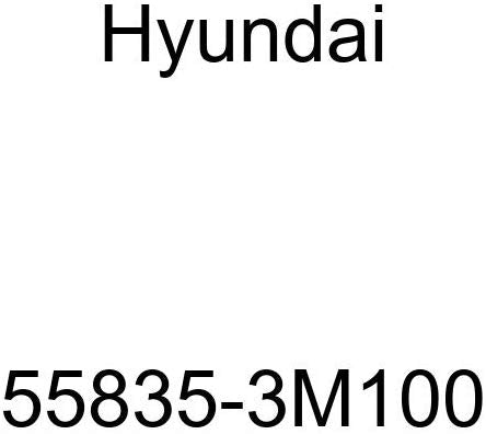 Genuine Hyundai 55835-3M100 Check Valve – PartLimit