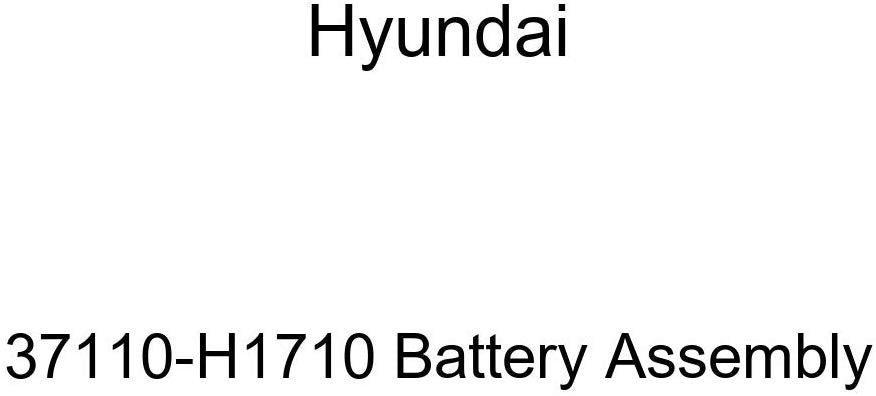 Genuine Hyundai 37110-H1710 Battery Assembly – PartLimit