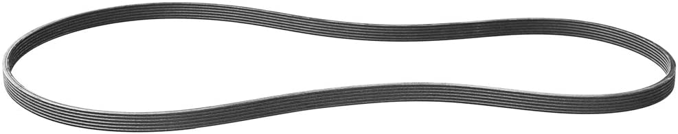 Volvo 30731808, Serpentine Belt – PartLimit